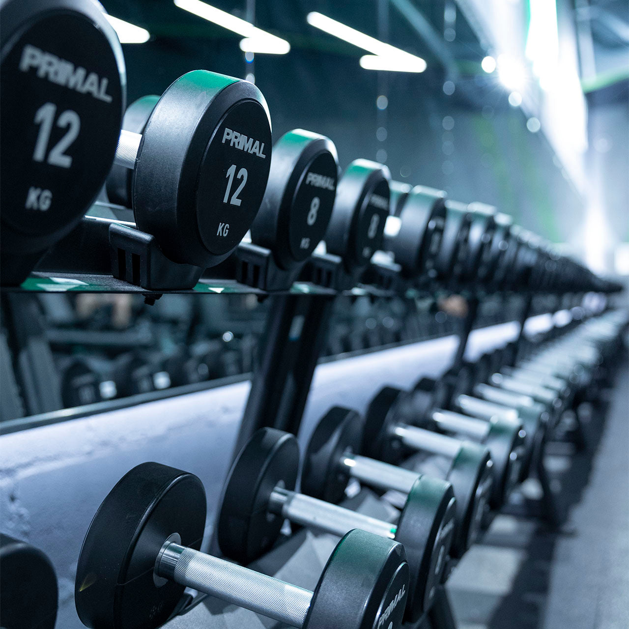 Primal Performance Series Urethane Dumbbells – Primal Strength US