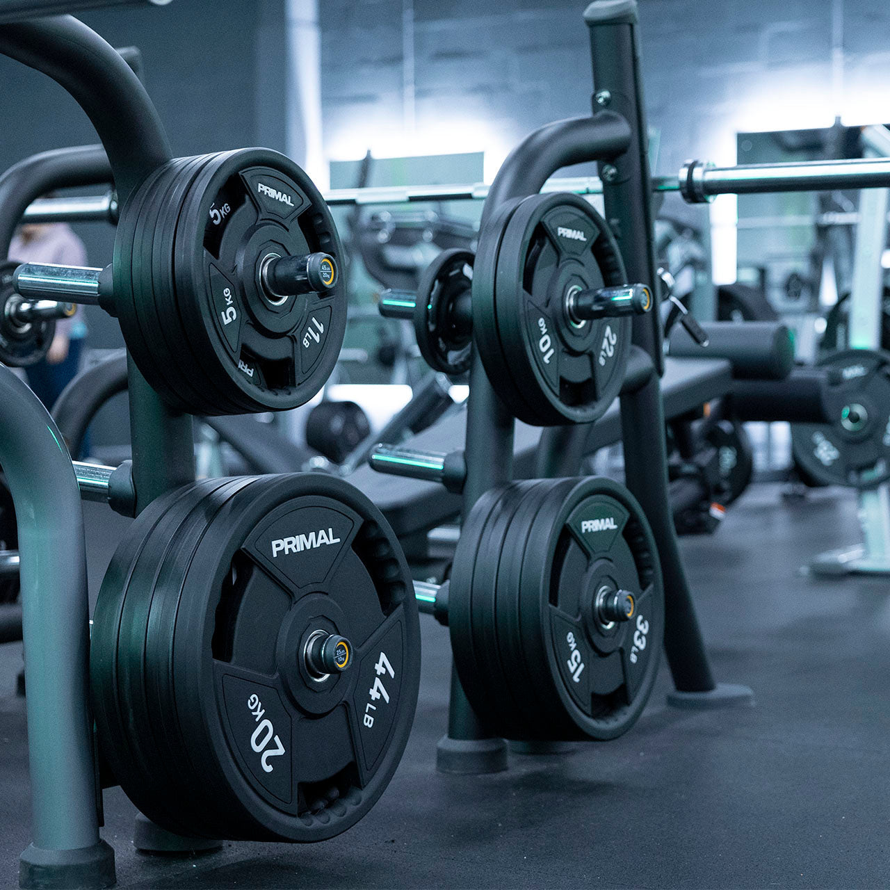 CPU Weight Plates – Primal Strength US
