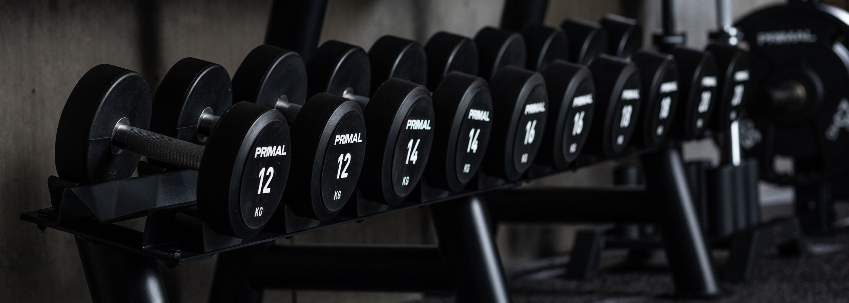 Dumbbell Racks | Dumbbell Trees – Primal Strength US