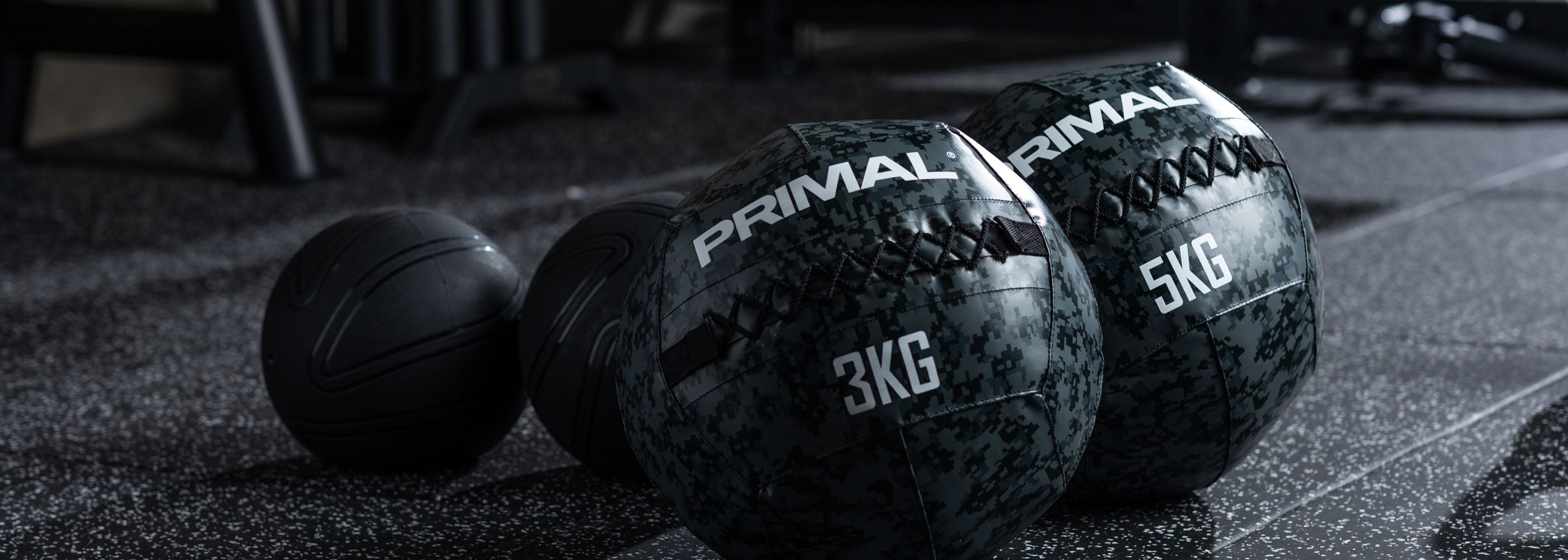 Exercise Balls | Swiss Balls – Primal Strength US