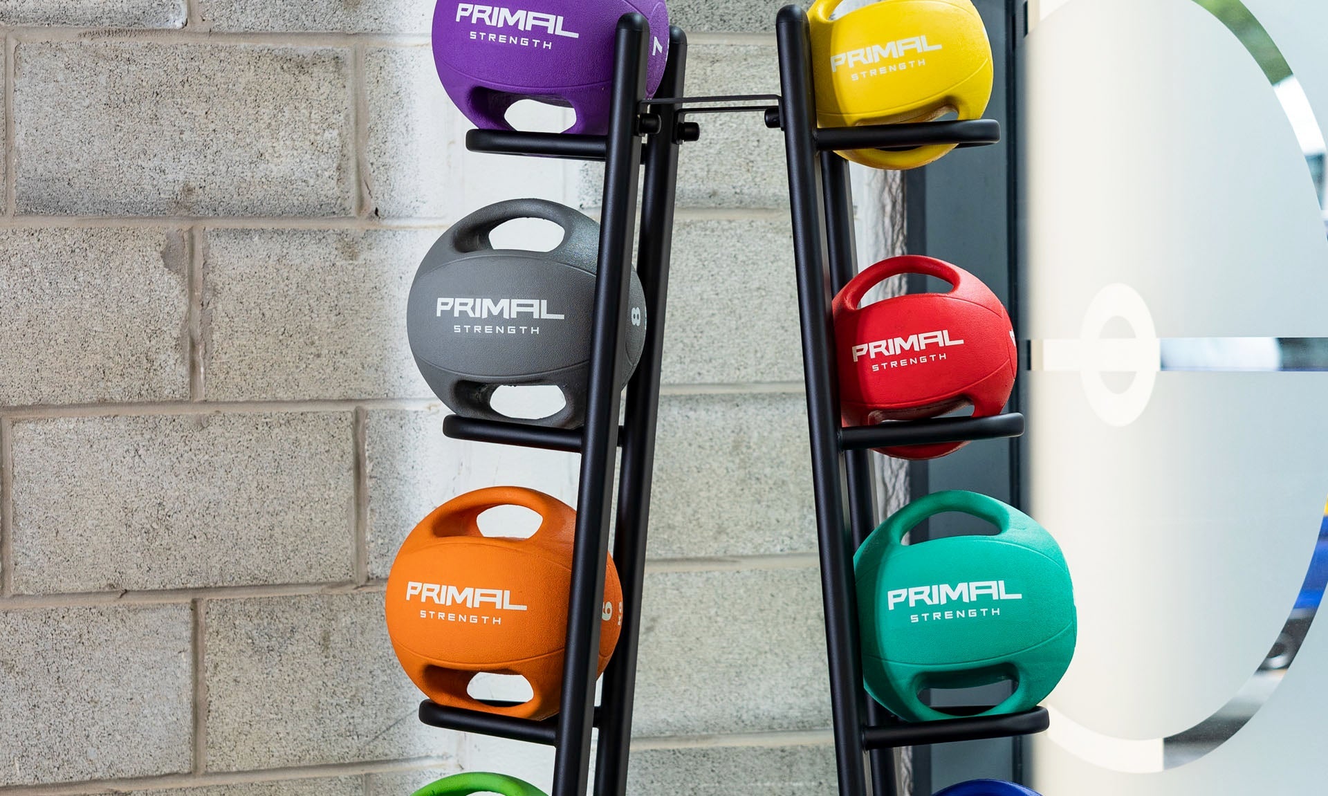 Medicine Balls | Medicine Balls with Handles – Primal Strength US