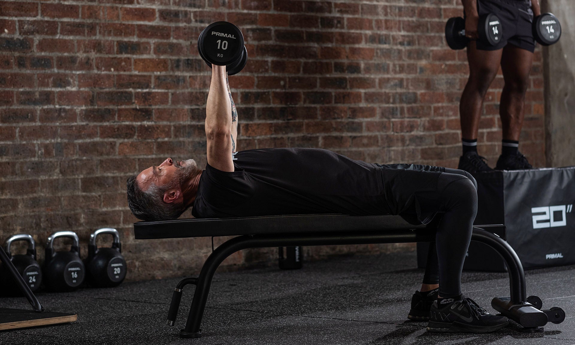 Gym Benches | Weight Benches – Primal Strength US