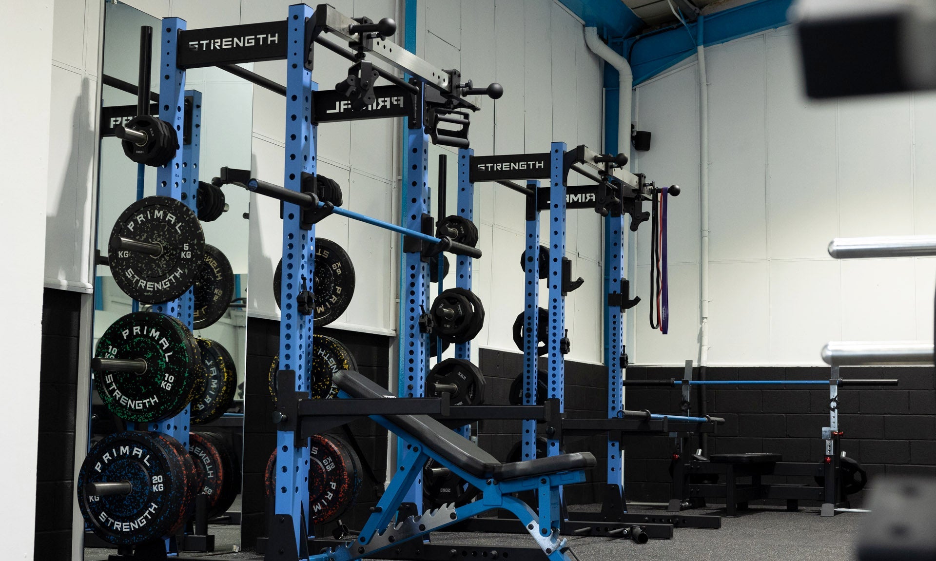 Squat Racks | Squat Stands – Primal Strength US